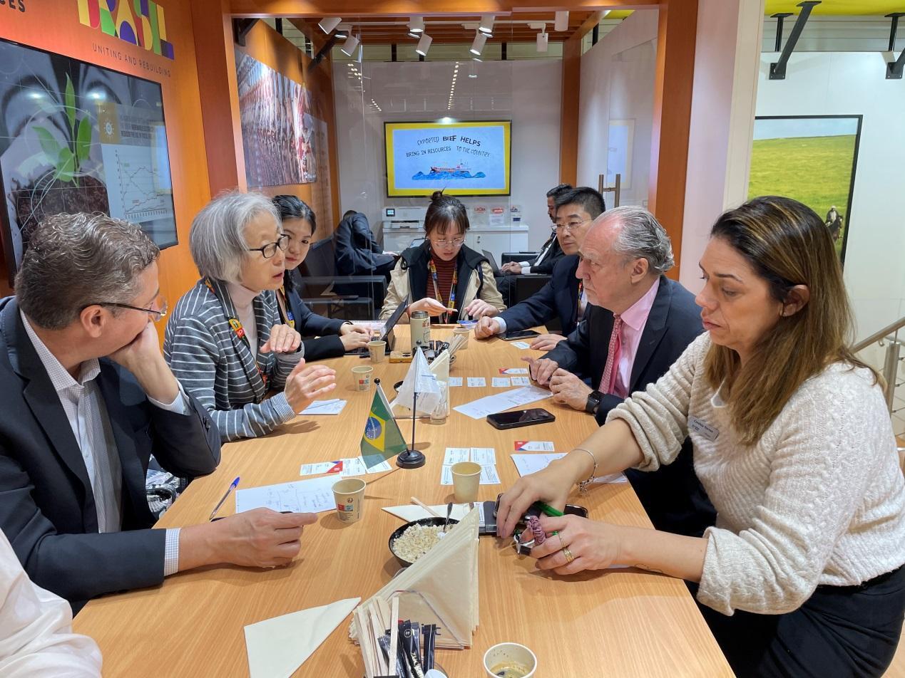 Vice President Yu Lu Meets With International Industrial Organizations ...